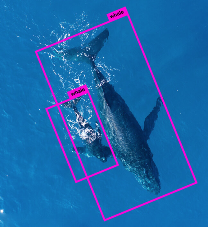AI Maritime Monitoring & Marine Systems Testing Facility