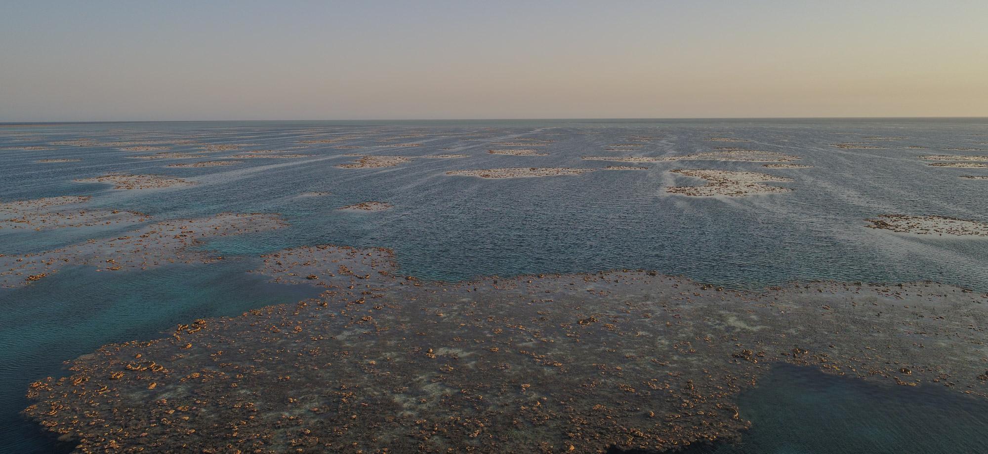 Drones Map Tide-Exposed Coral Reefs - Ocean Science & Technology