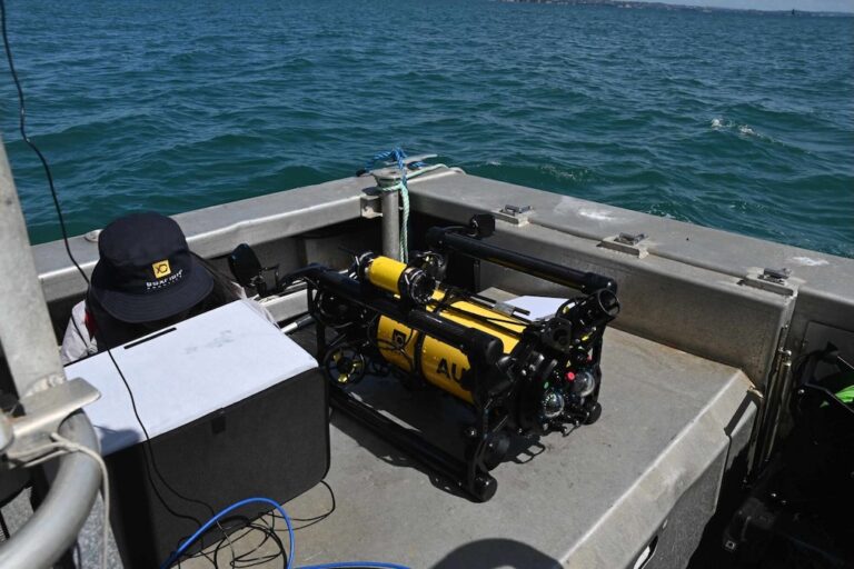 Boxfish Robotics Details AUV Seabed Transects in Rangitoto Channel ...